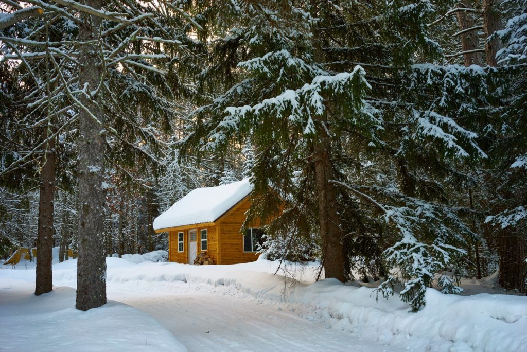 Top 3 Types of Siding to Use on A Cold Climate Cabin